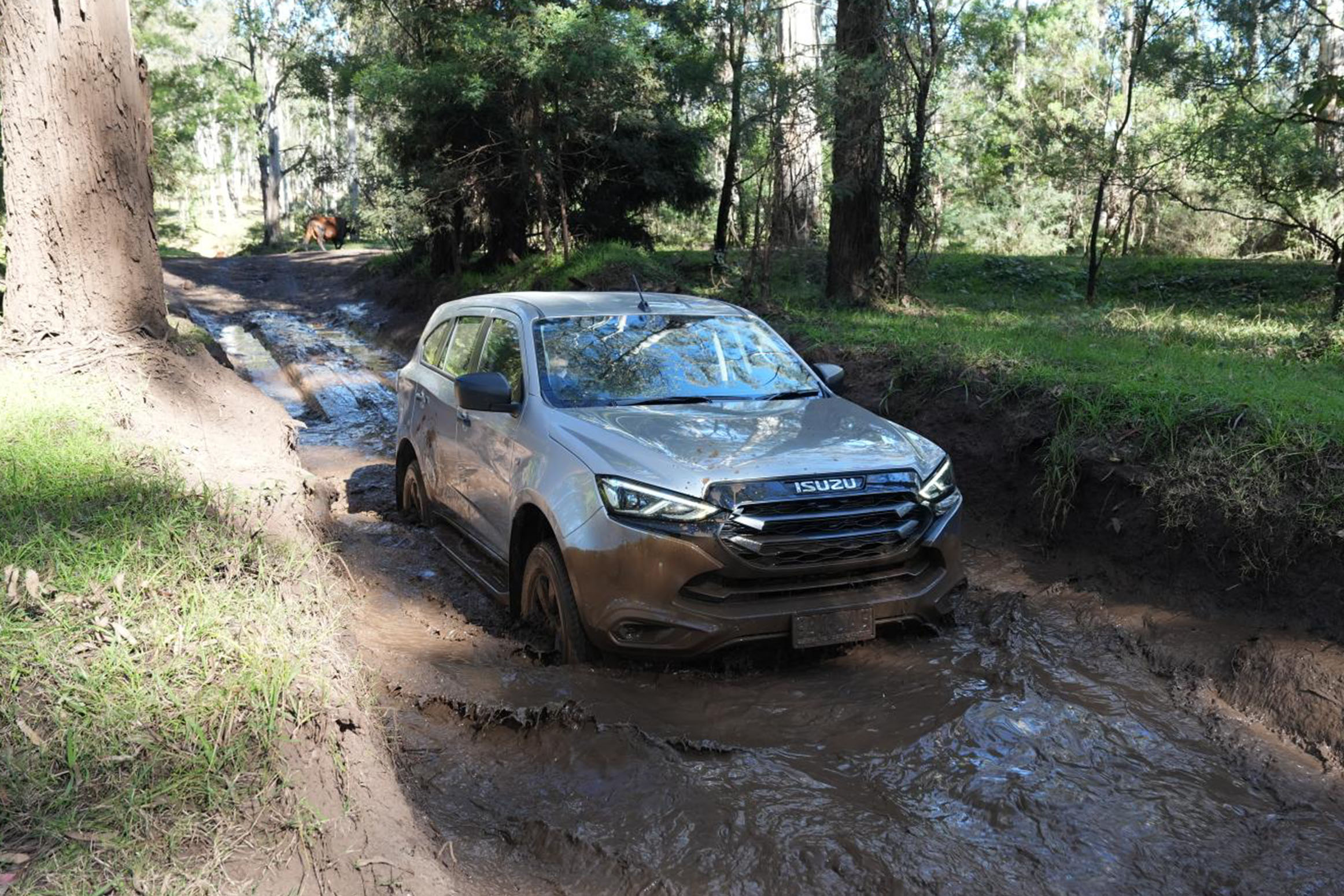 Gordon Country, QLD - I-Venture Club - Gallery | Isuzu UTE Australia