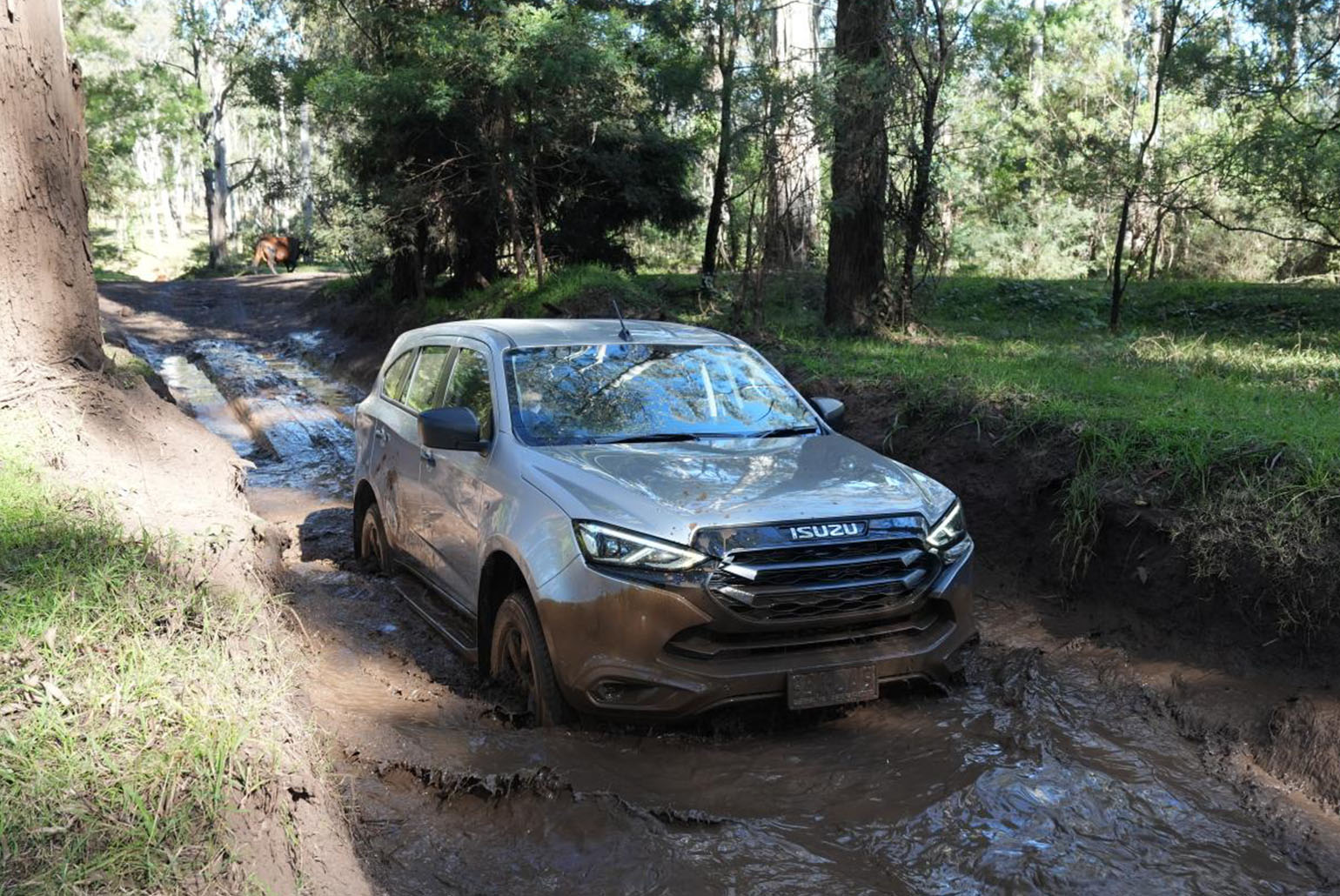 Gordon Country, QLD - I-Venture Club - Gallery | Isuzu UTE Australia